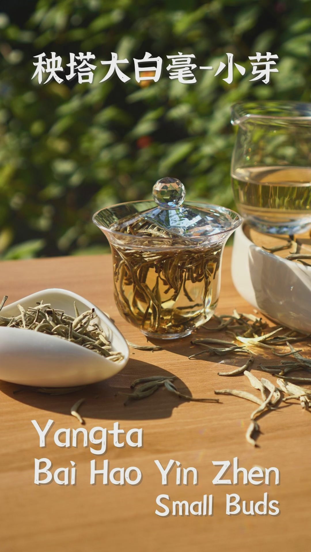 Yangta Bai Hao Yin Zhen-Small Buds – ESGREEN
